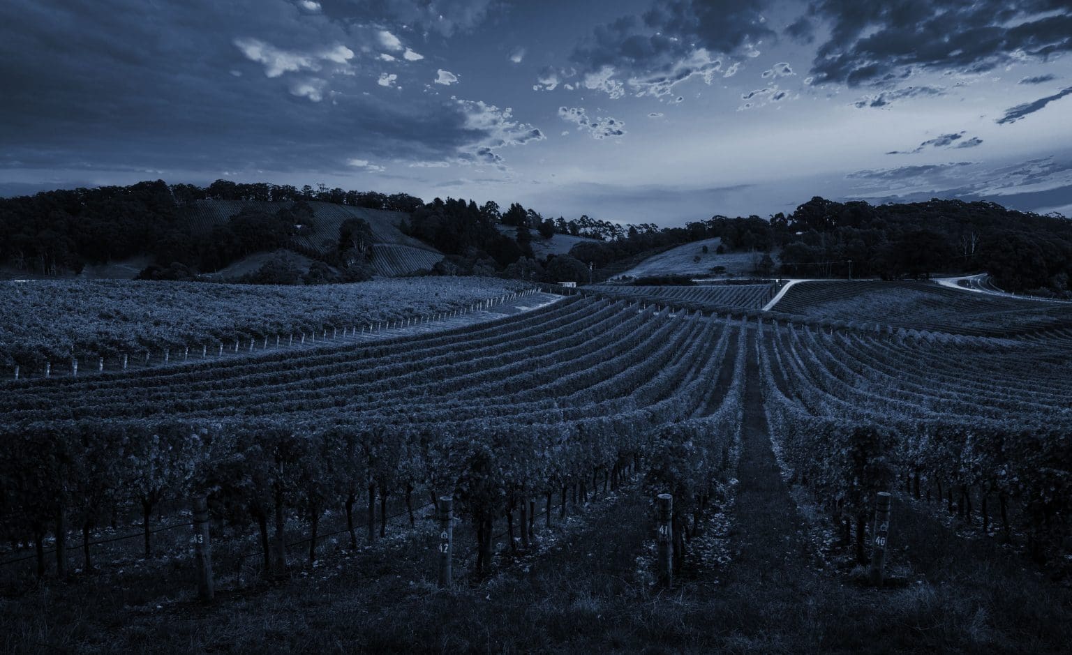 Discover a Better Kind of Business Banking | Scale Bank